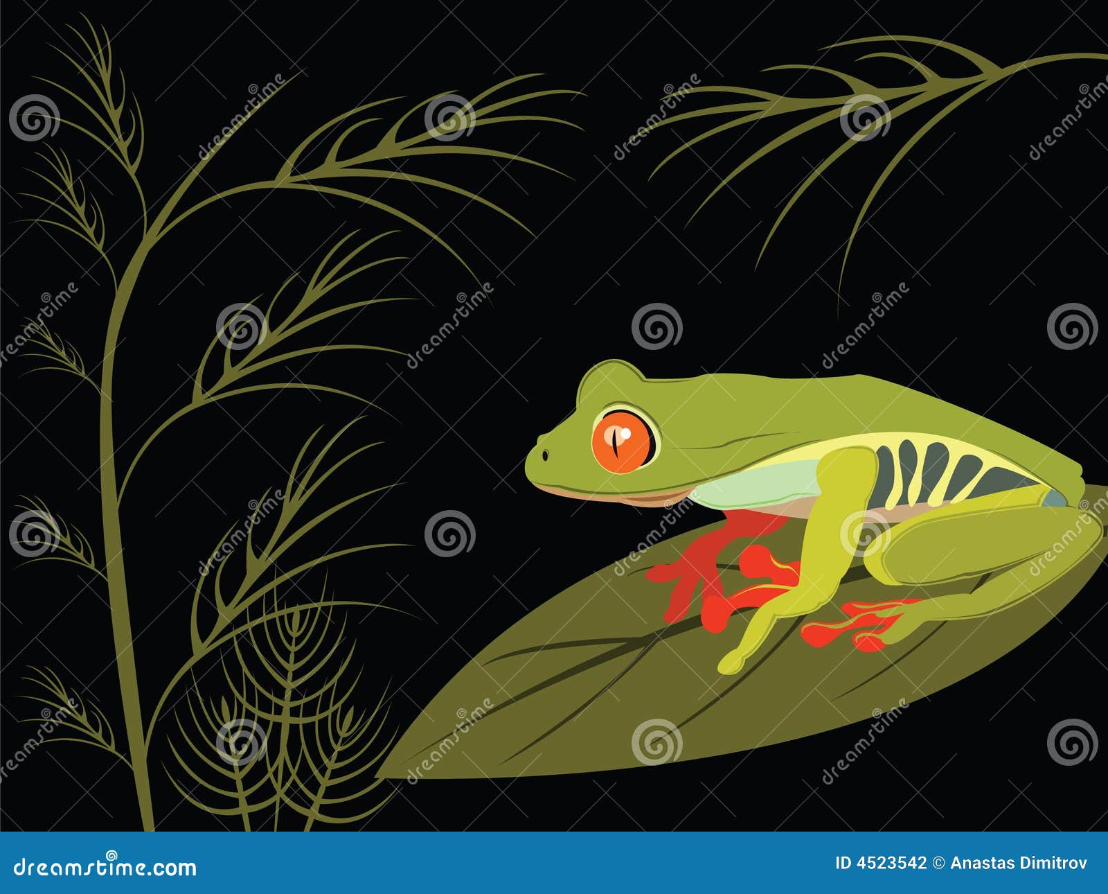 Red eye tree frog stock vector. Illustration of vector - 4523542