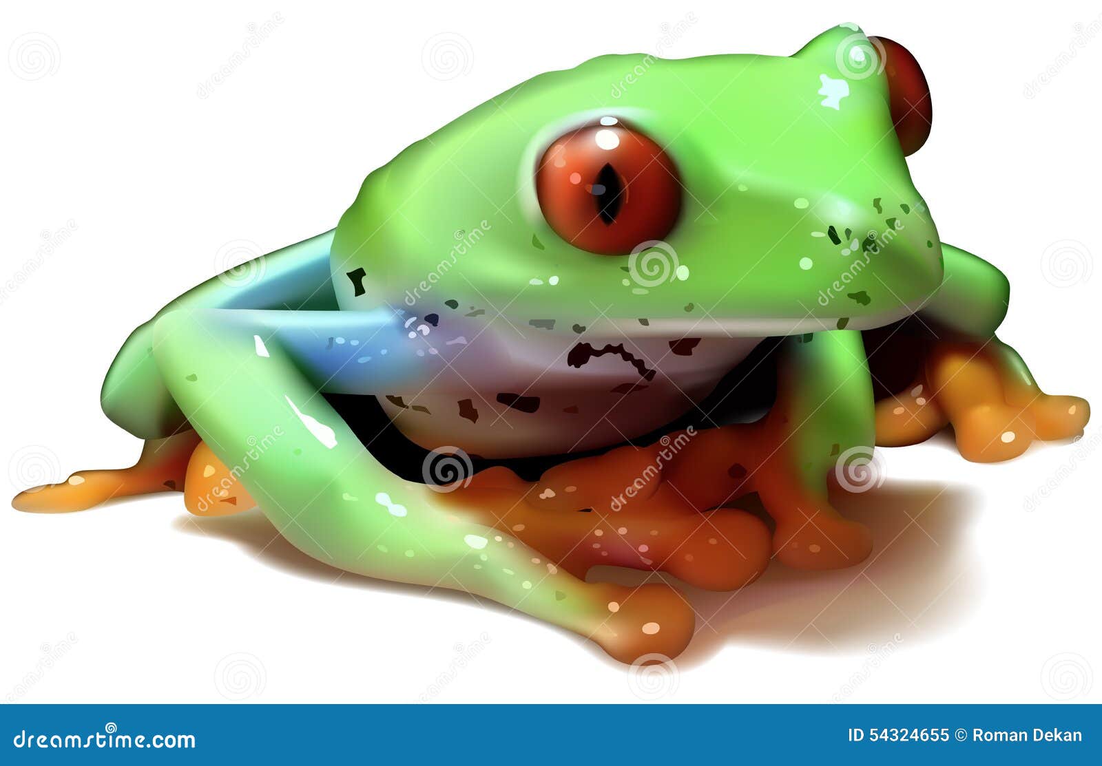 Red Eyed Tree Frog With A Heart. Cute Animal. Isolated On White ...