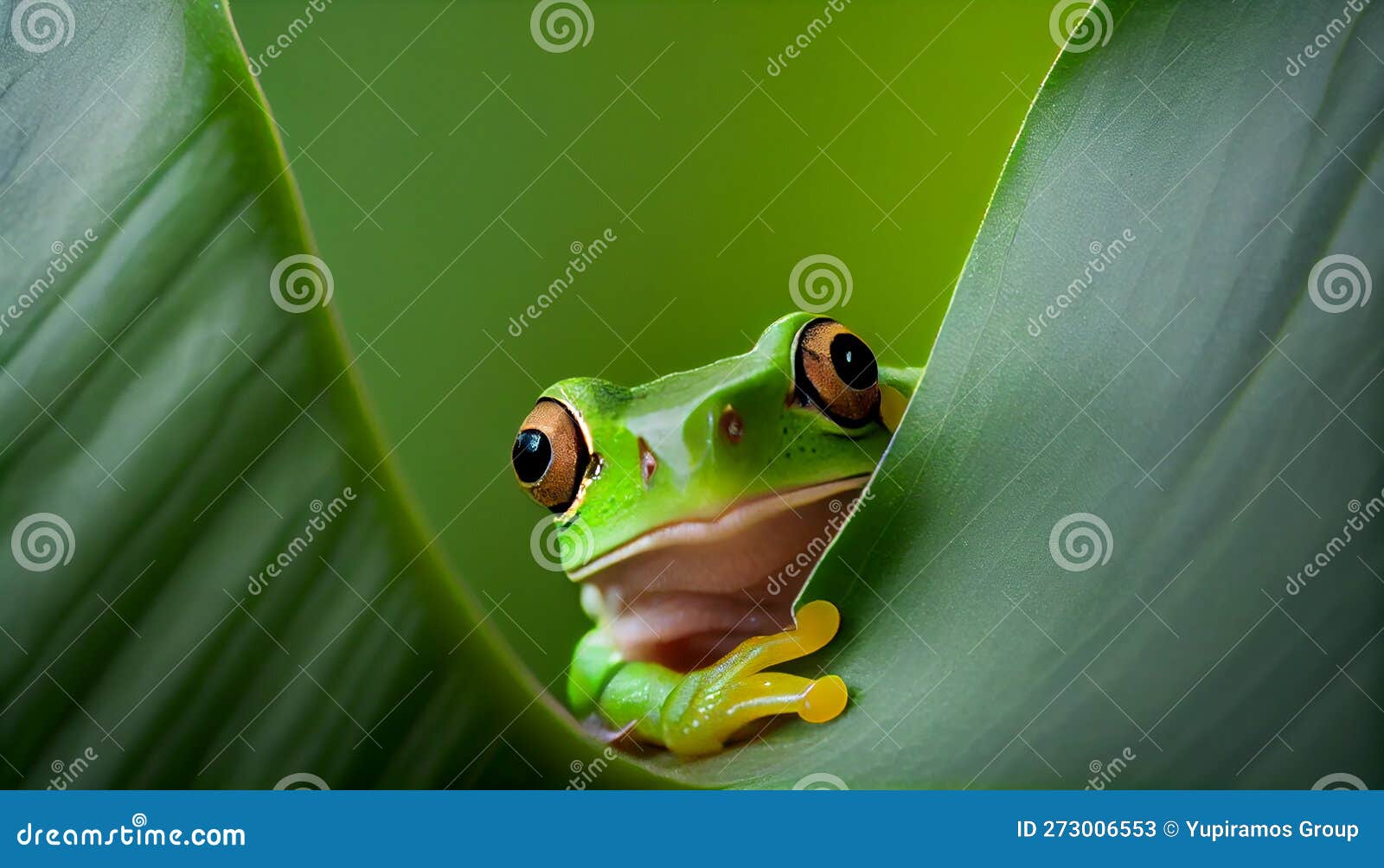 Red Eyed Tree Frog Hiding on Green Leaf Generated by AI Stock Image ...