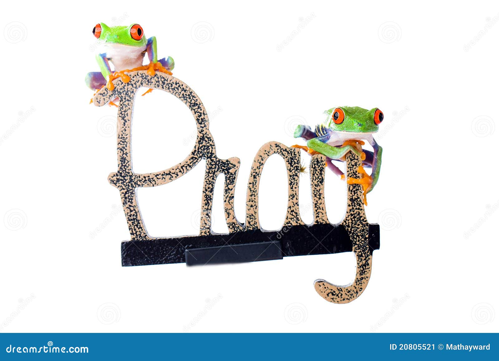 Red Eyed Tree Frogs on a Pray Sign Stock Image - Image of faith ...