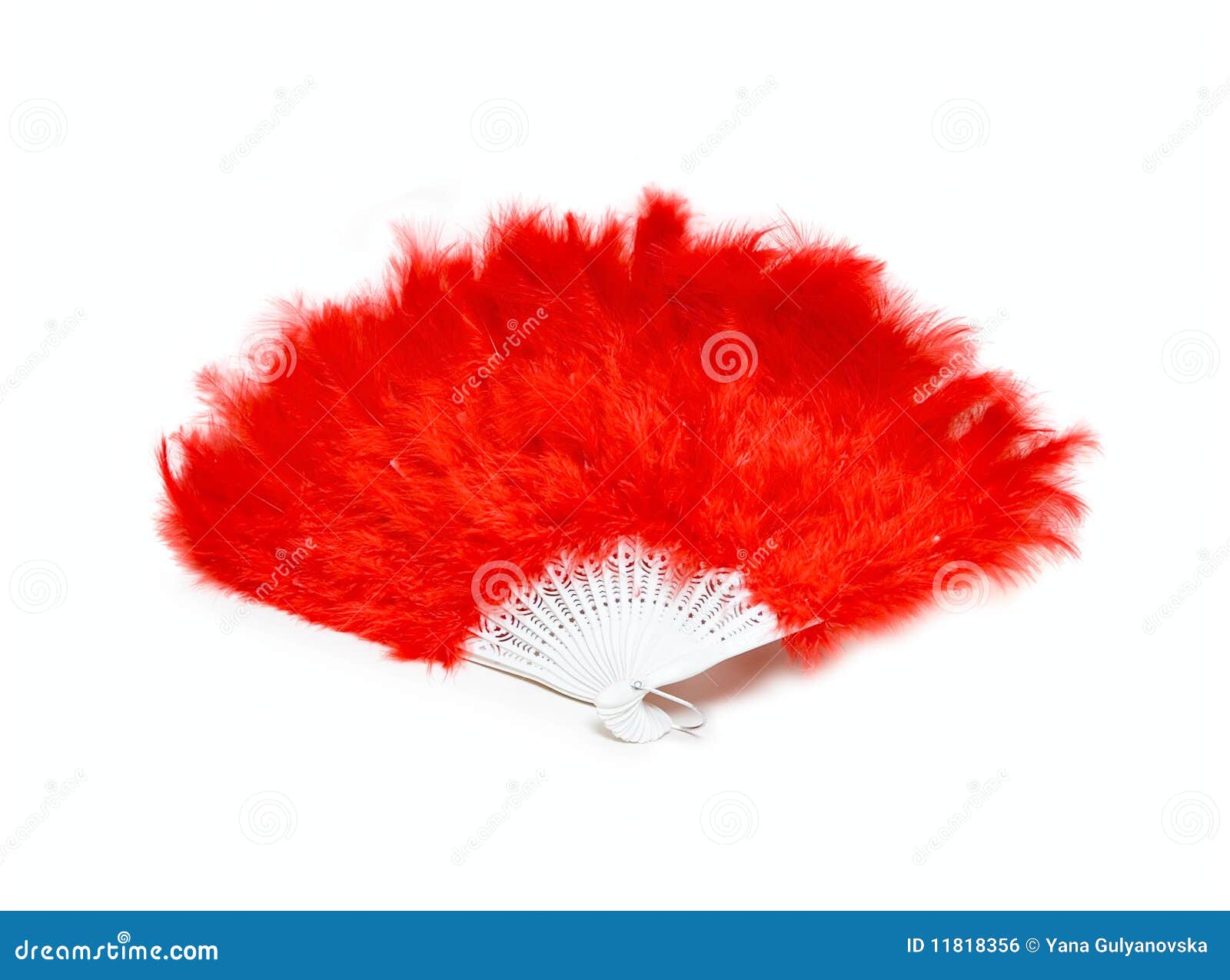 Red fan from feather stock photo. Image of feather, female - 11818356