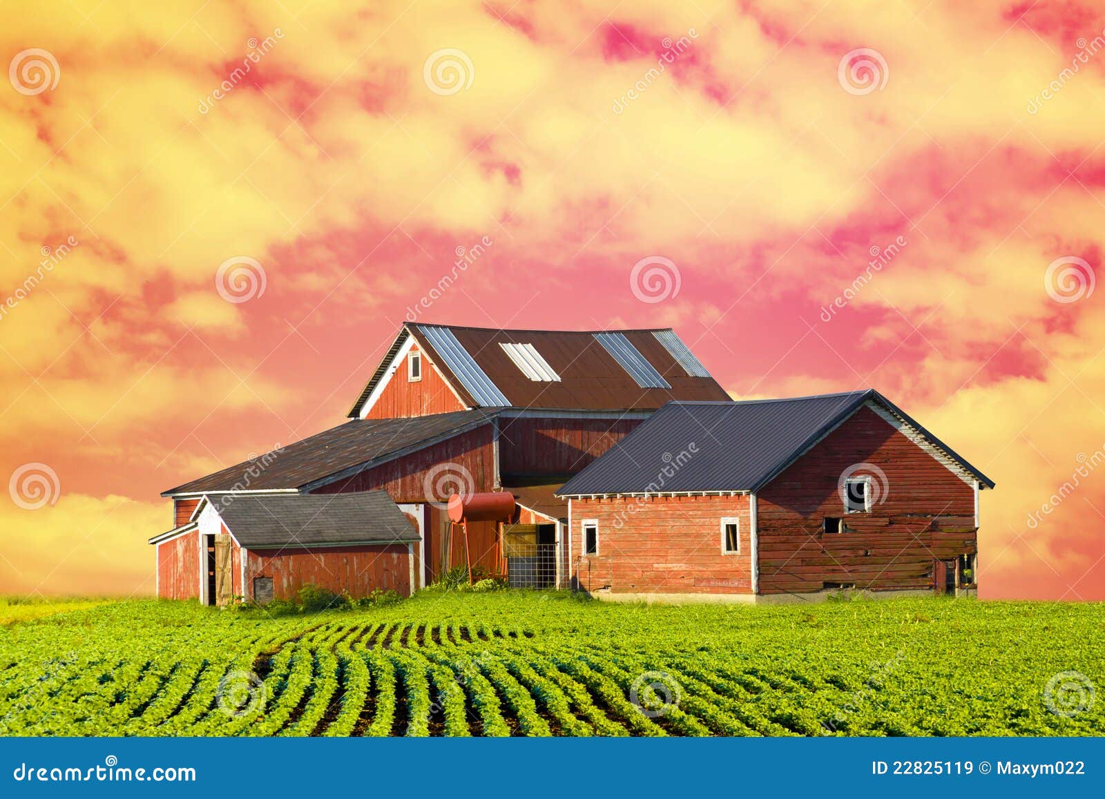 Red Farm at Dusk stock image. Image of land, spring, fable - 22825119