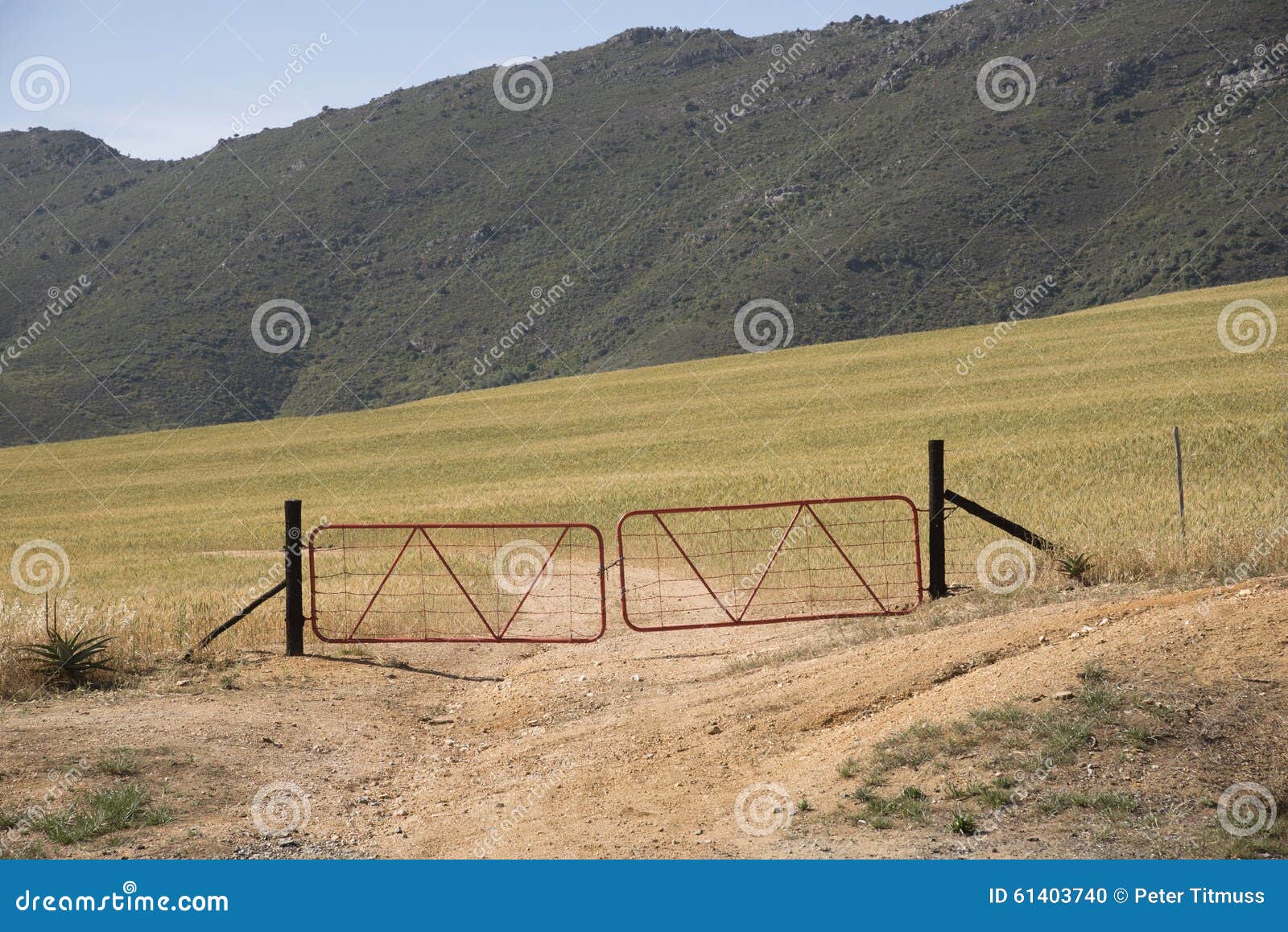 Farm Gates In Patagonia Prairies. Stock Photography | CartoonDealer.com ...