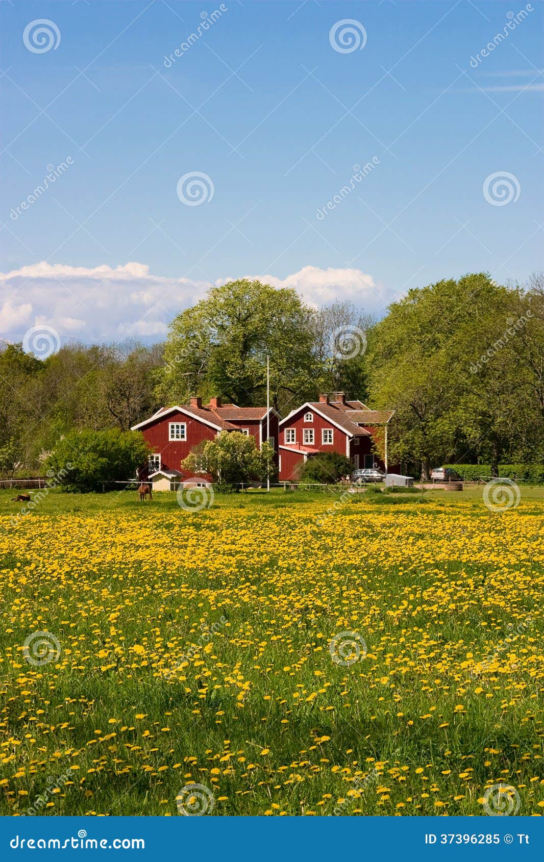 Red farm house stock image. Image of facade, dandelions - 37396285