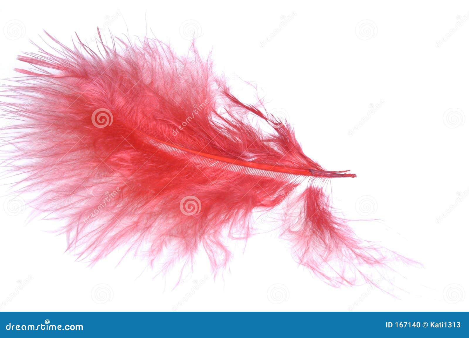 Red feather stock photo. Image of wind, tenderness, bird - 167140
