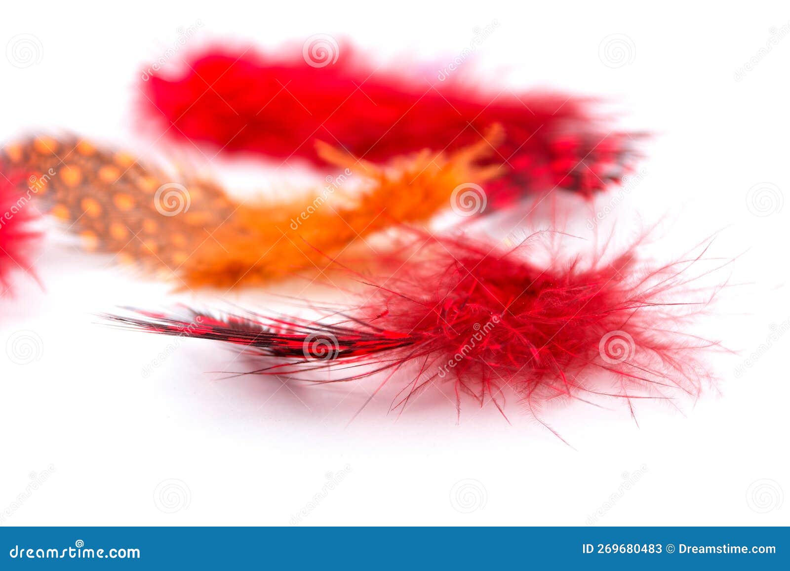 Red Feather Over White Background with Real Shadows Stock Image - Image ...