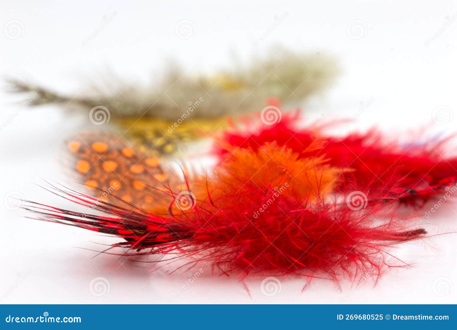 Red Feather Over White Background with Real Shadows Stock Image - Image ...