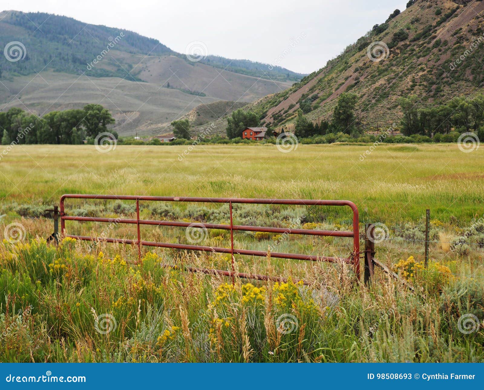 Red Fence Gate by a Prairie Stock Image - Image of gate, summer: 98508693