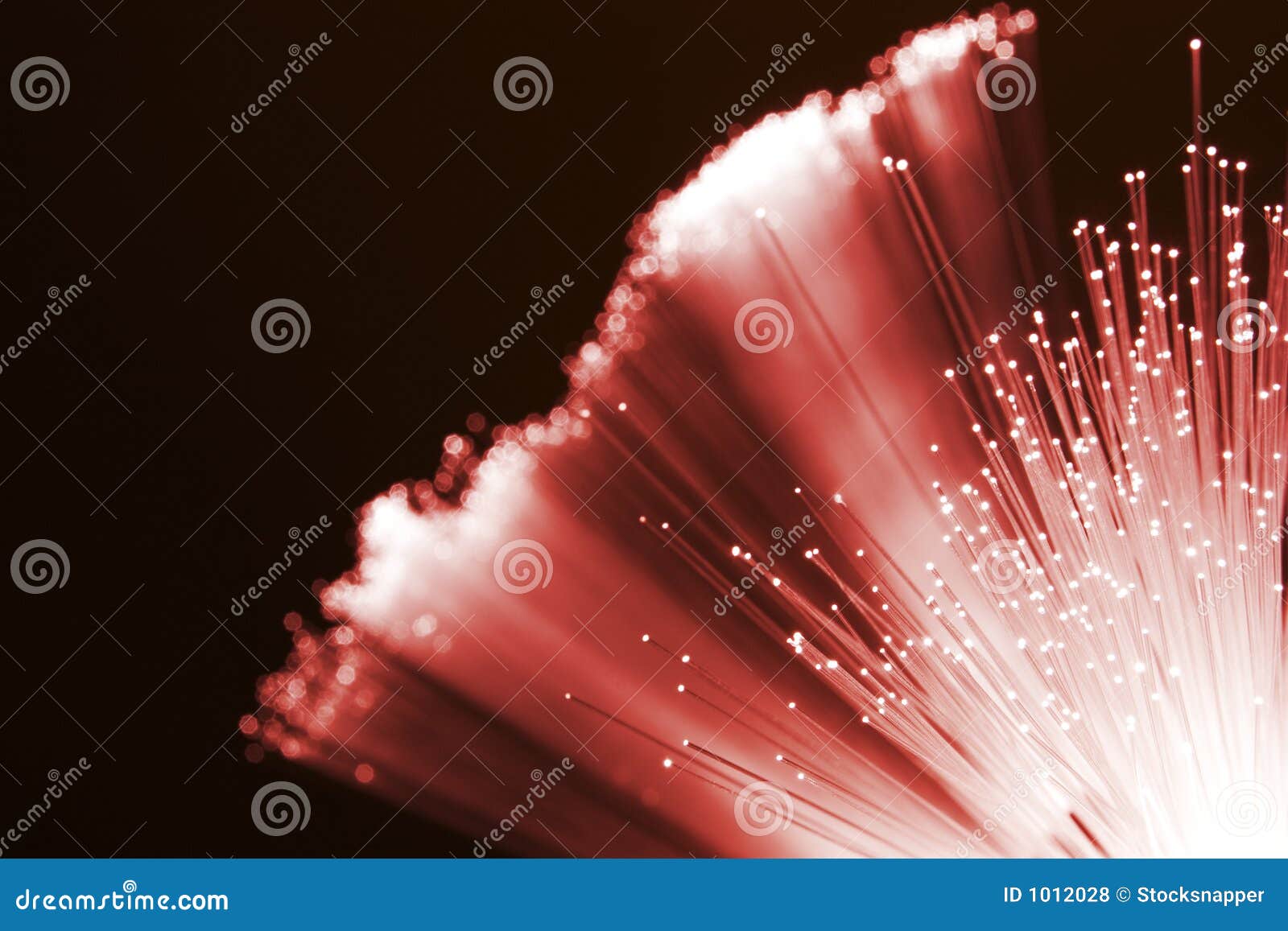 Red fiber optics stock photo. Image of futuristic, fibre - 1012028