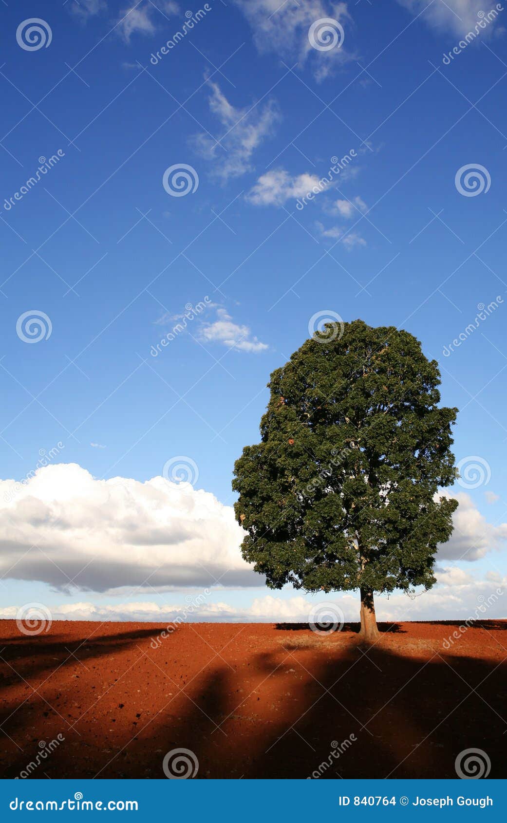 Red Field stock photo. Image of heavenly, bare, dirt, alone - 840764