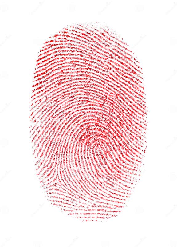 Red Fingerprint stock illustration. Illustration of people - 14326361