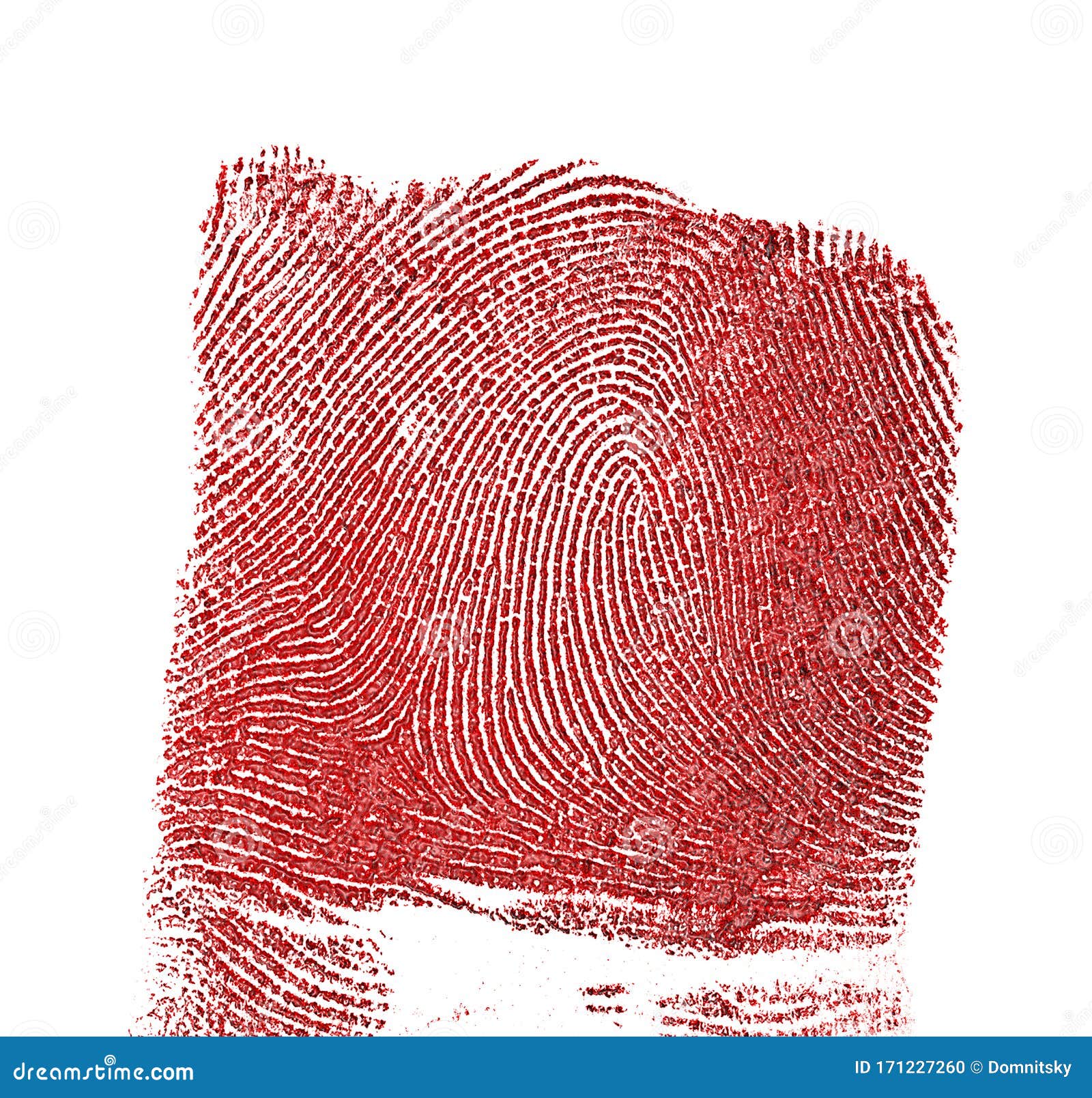 Red Fingerprint on White Background Stock Photo - Image of design ...