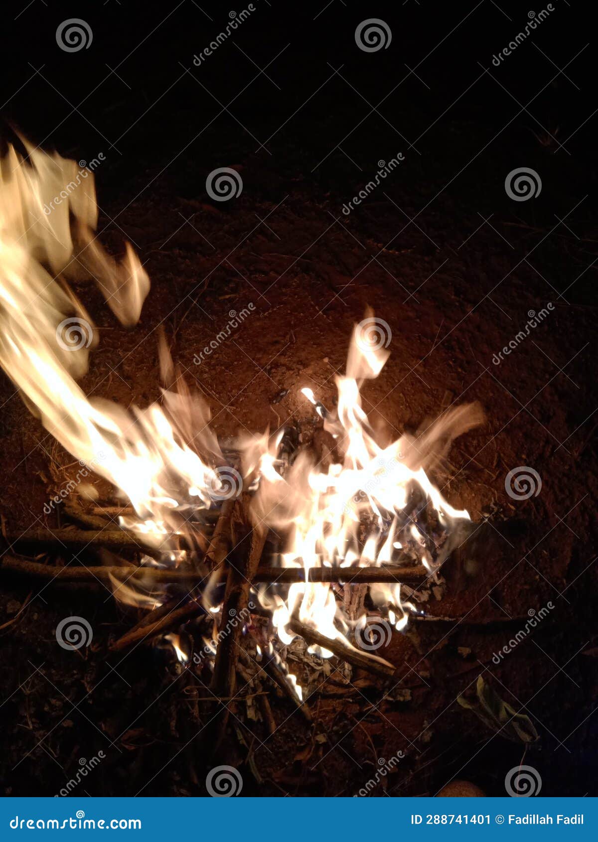RED FIRE COMB stock image. Image of screenshot, campfire - 288741401