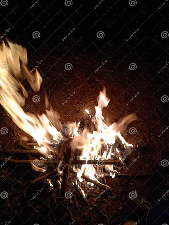 RED FIRE COMB stock image. Image of screenshot, campfire - 288741401