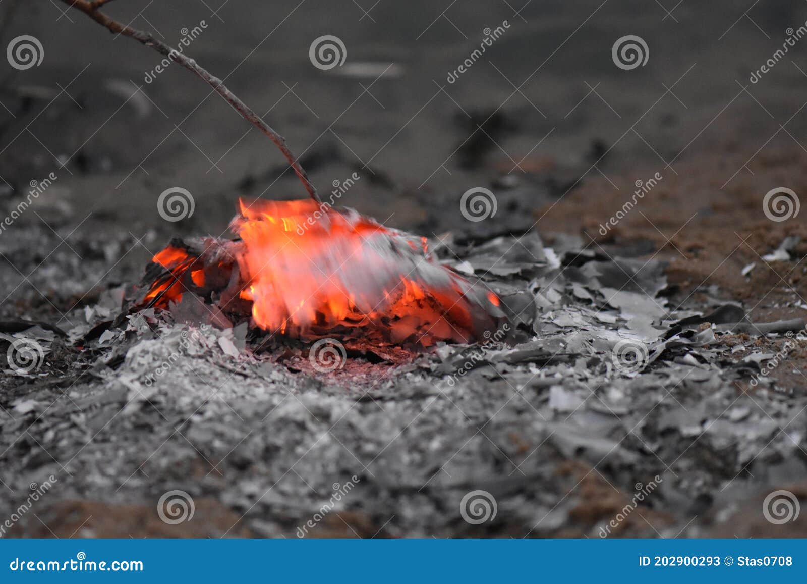 Red Fire Flames in the Evening with Ashes Around Stock Image - Image of ...