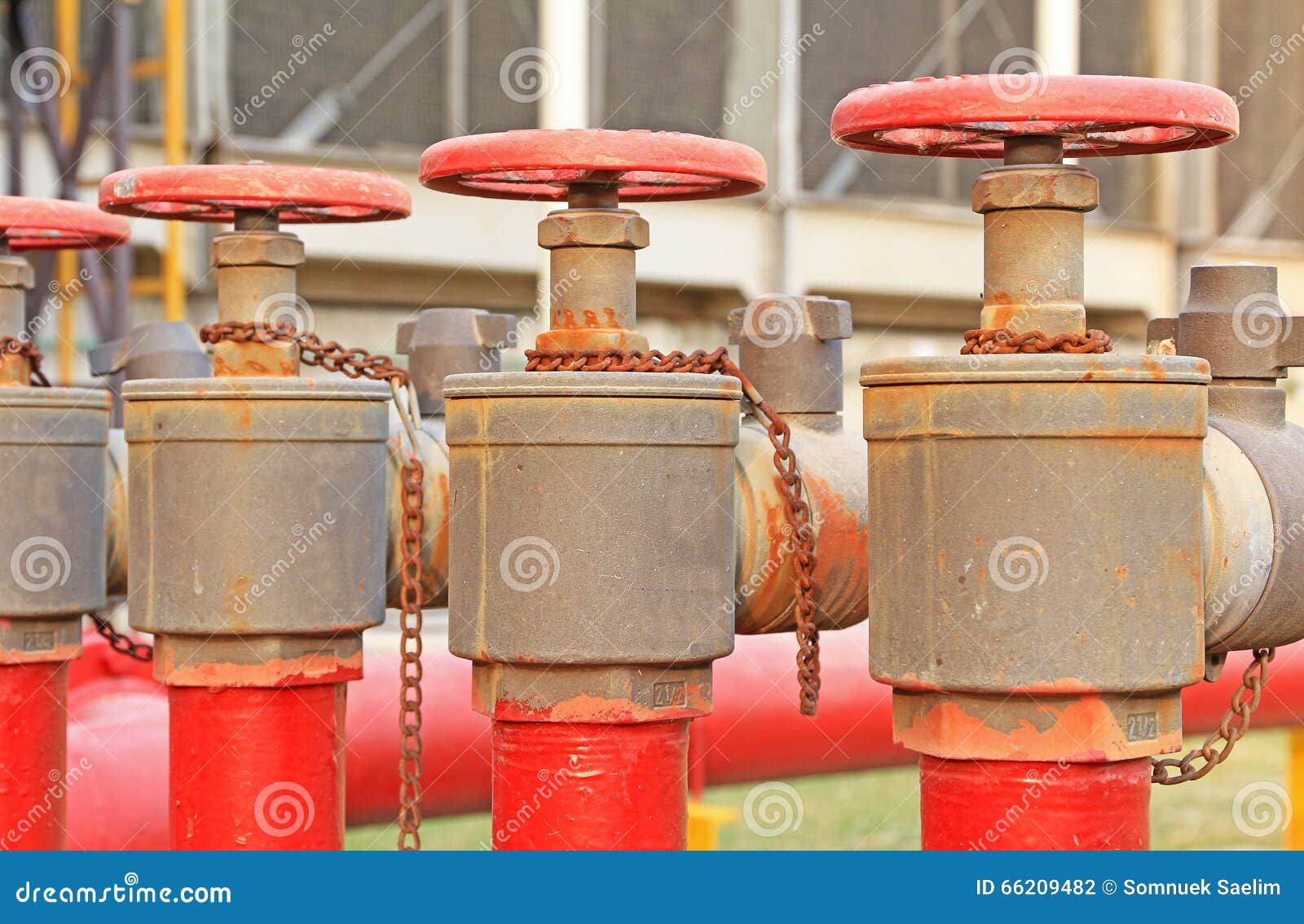 Red fire hose valve stock photo. Image of safely, closed - 66209482