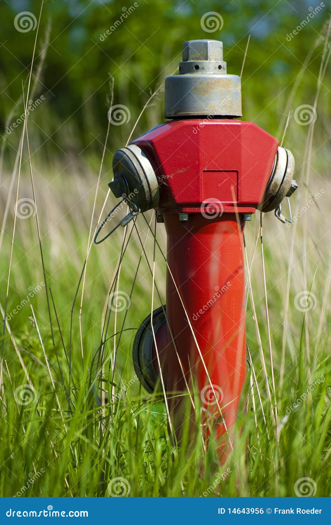 Red fire hydran stock photo. Image of grass, stand, green - 14643956