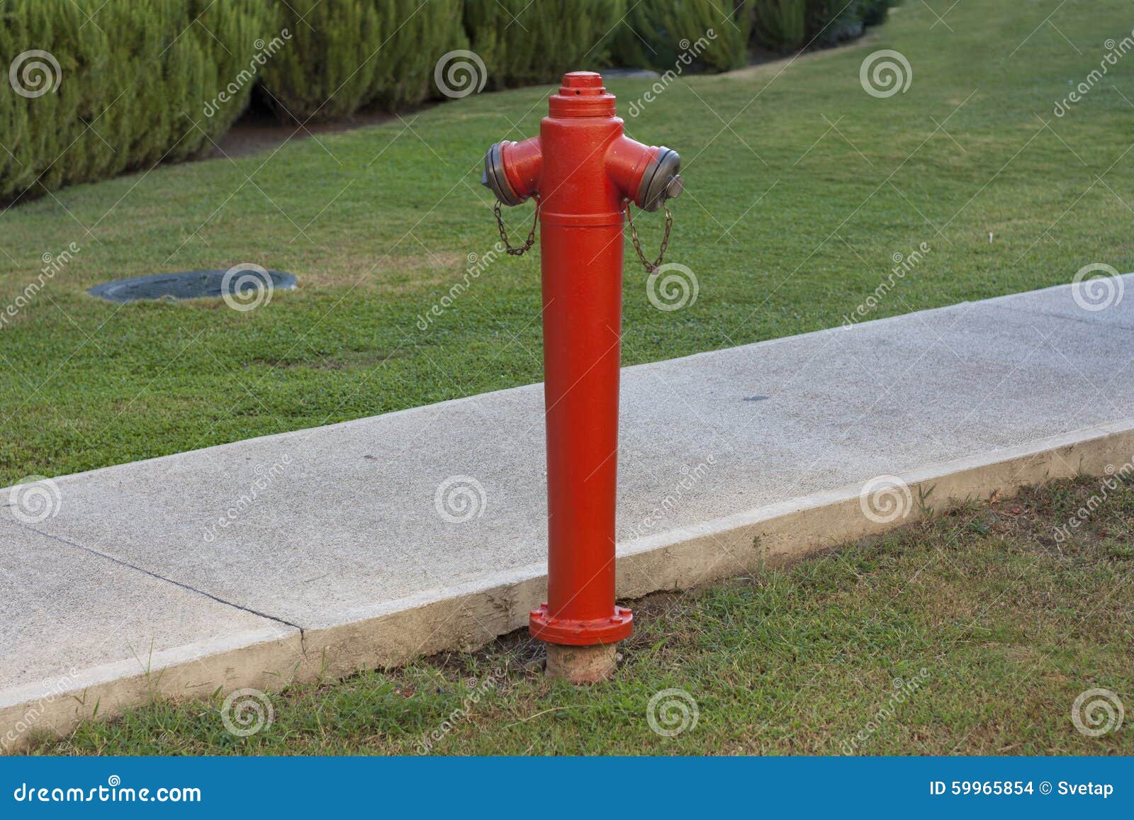 Red Fire Hydrant Against Green Lawn Photo Stock Photo - Image of danger ...