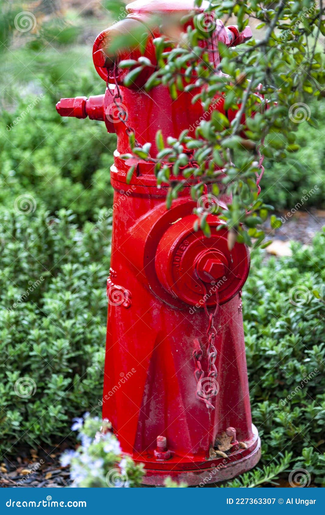 Red Fire Hydran stock image. Image of firetruc, firehydrant - 227363307