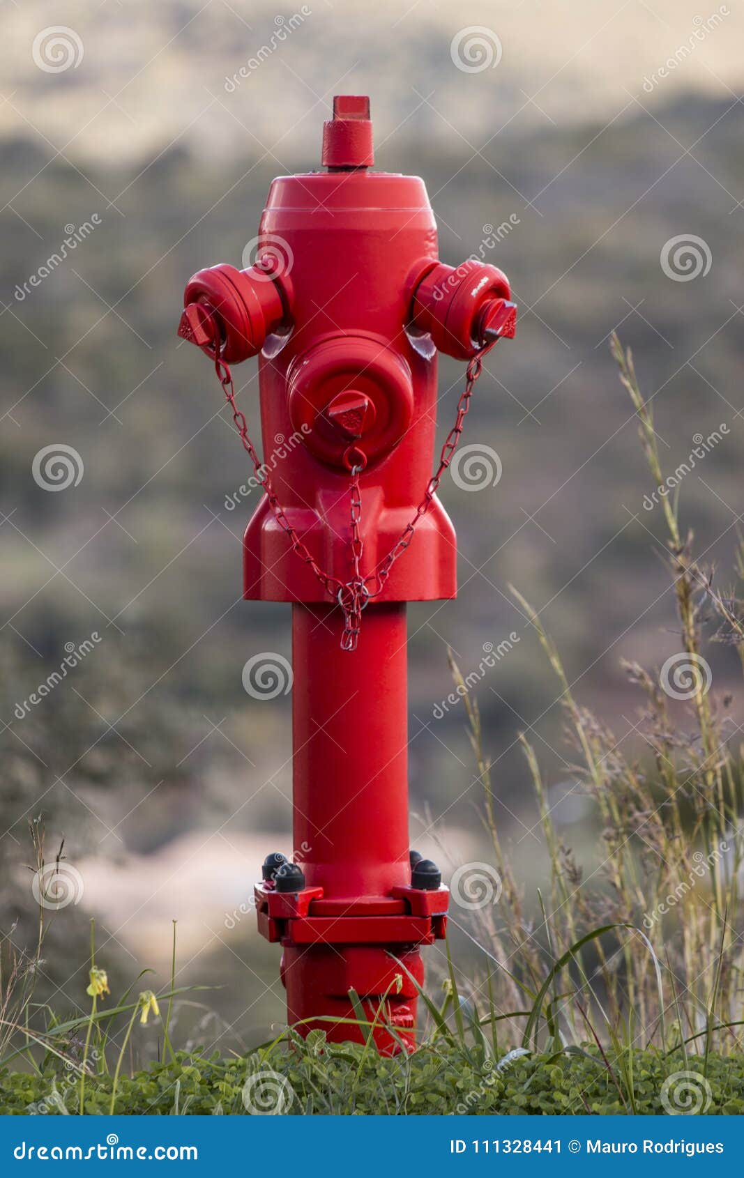 Red fire hydrant stock image. Image of rescue, equipment - 111328441