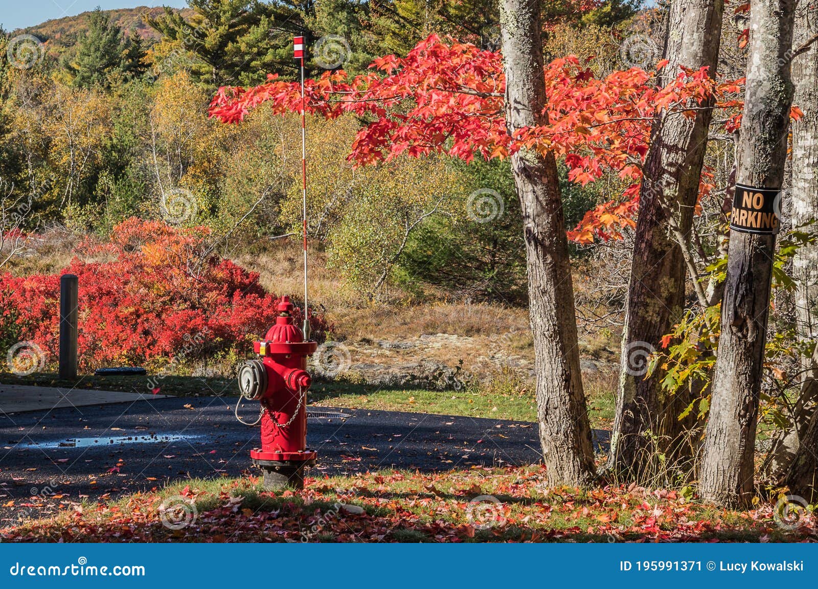 The Red Fire Hydrant in Autumn Stock Image - Image of hydrant, metallic ...