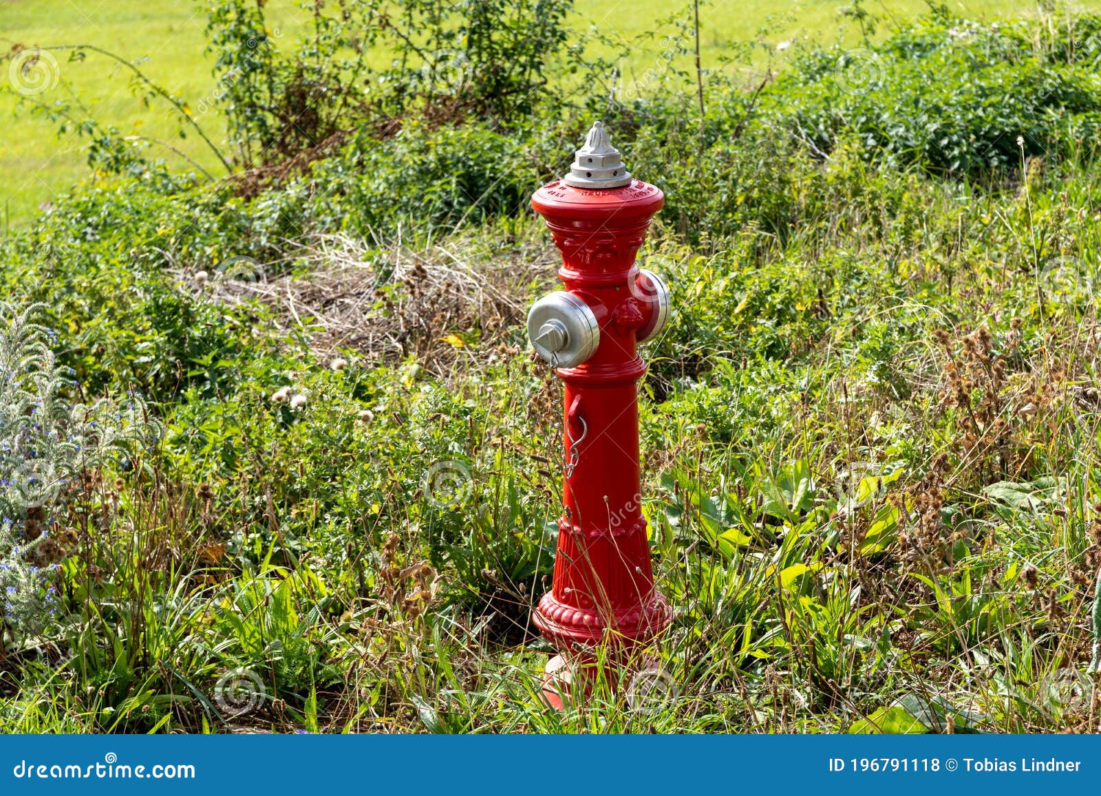Red fire hydrant in grass stock photo. Image of timen - 196791118