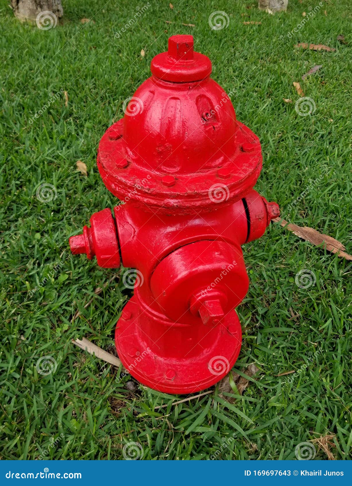 A Red Fire Hydrant on the Green Grass Stock Image - Image of bright ...