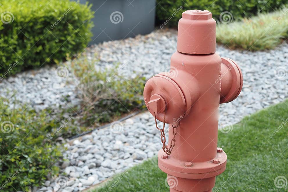 Red Fire Hydrant on Green Grass Stock Photo - Image of tool, safe ...