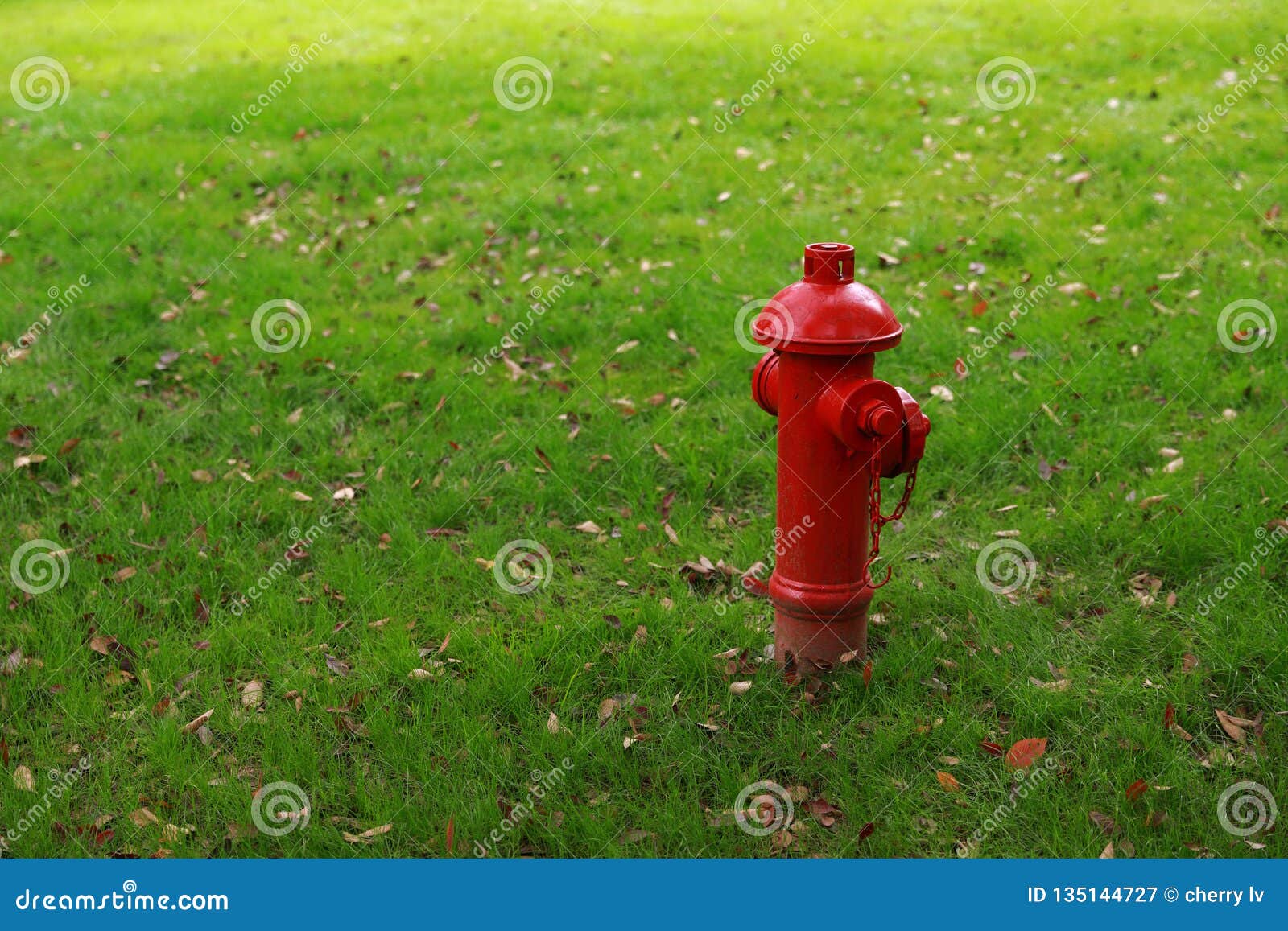 Red Fire Hydrant on the Green Grass Background Stock Image - Image of ...