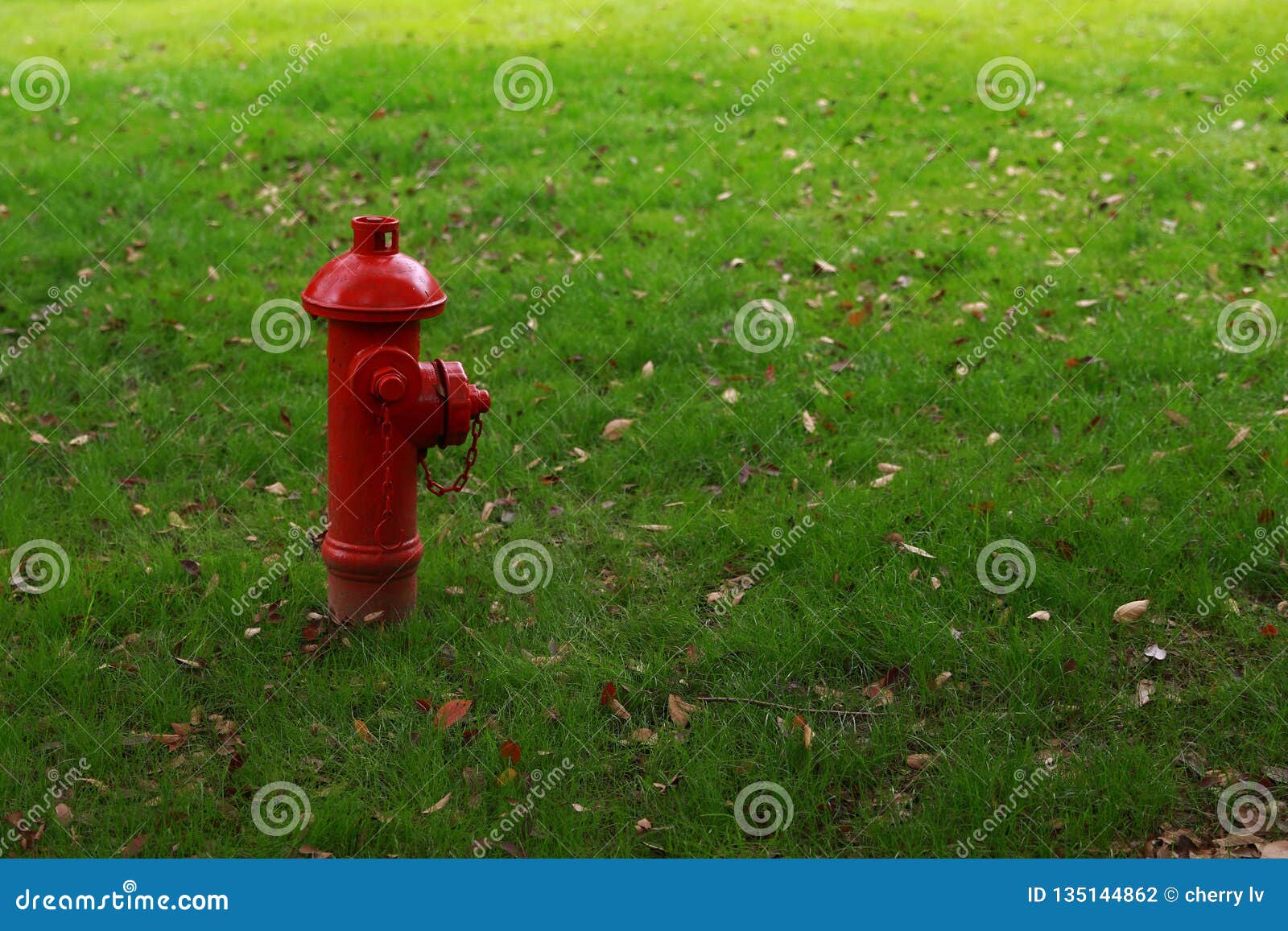 Red Fire Hydrant on the Green Grass Background Stock Photo - Image of ...