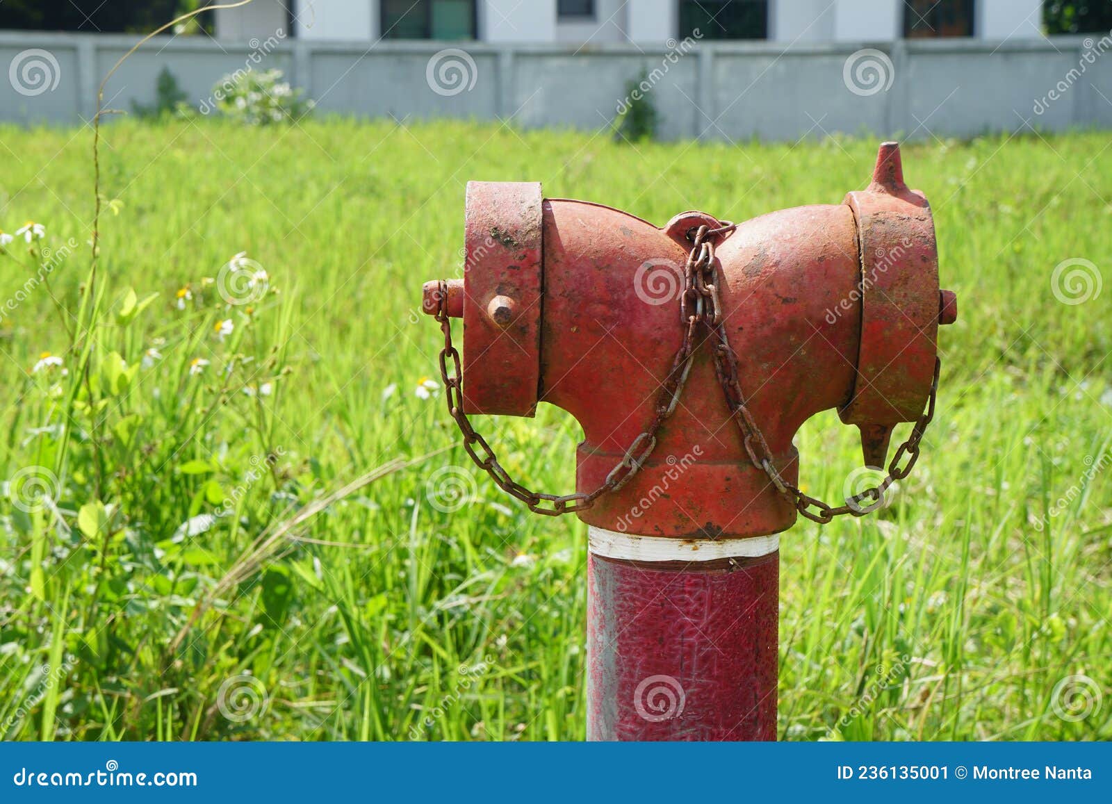 Red Fire Hydrant Installed Outside the Building. Stock Image - Image of ...