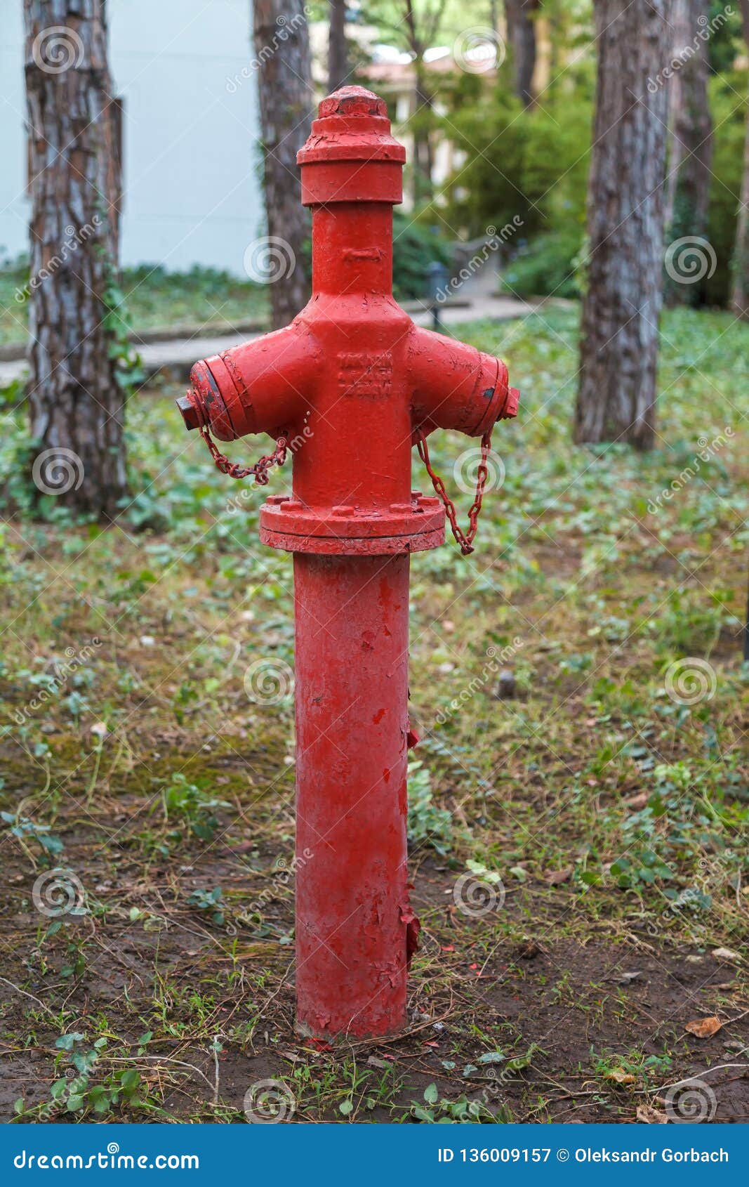 Red Fire Hydrant Installed in a Park Area among Trees Stock Image ...