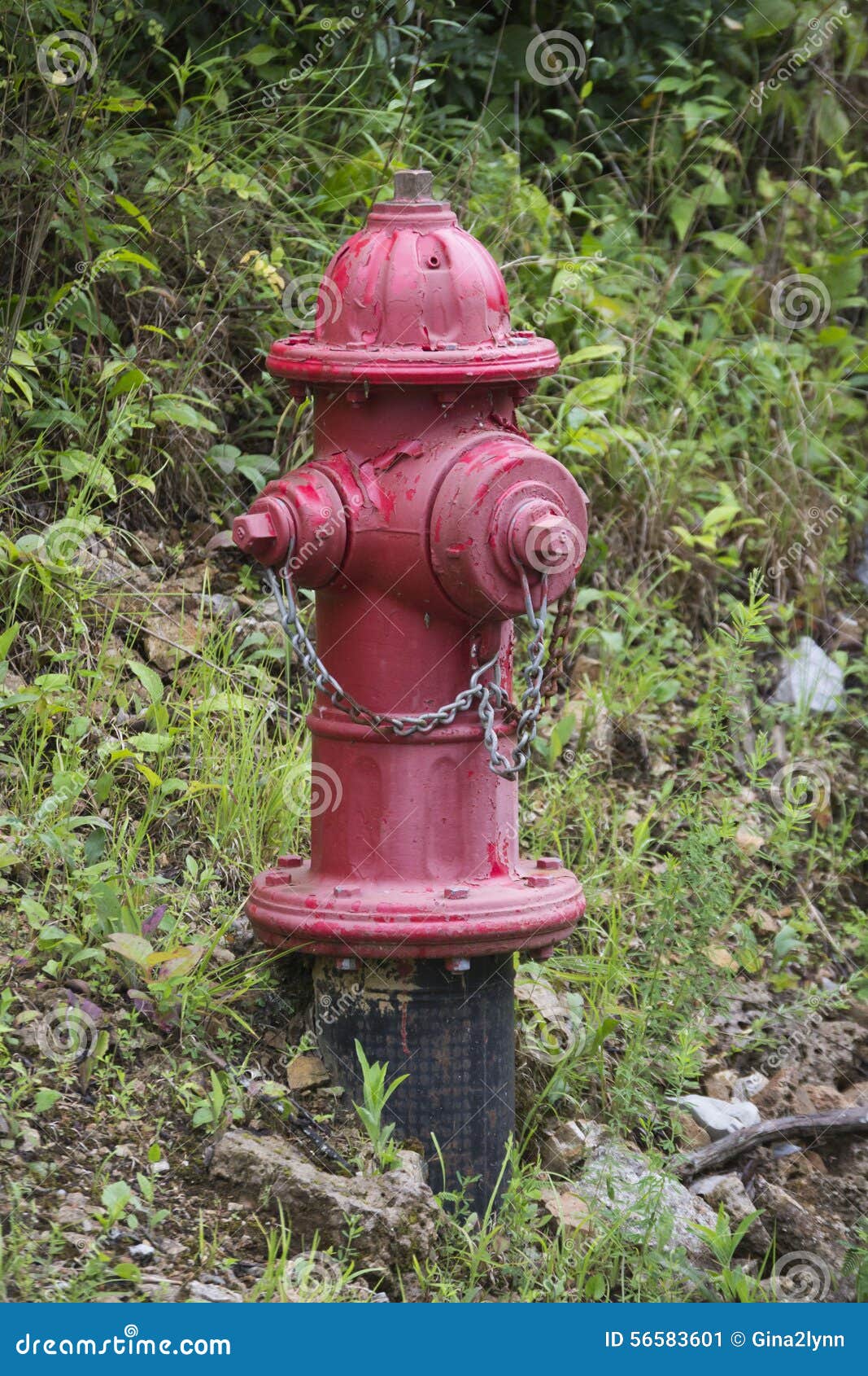 Red Fire Hydrant stock image. Image of next, south, aqua - 56583601
