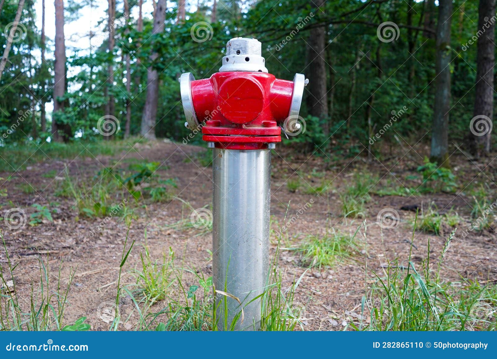 Red Fire Hydrant in the Park Stock Photo - Image of water, backyard ...
