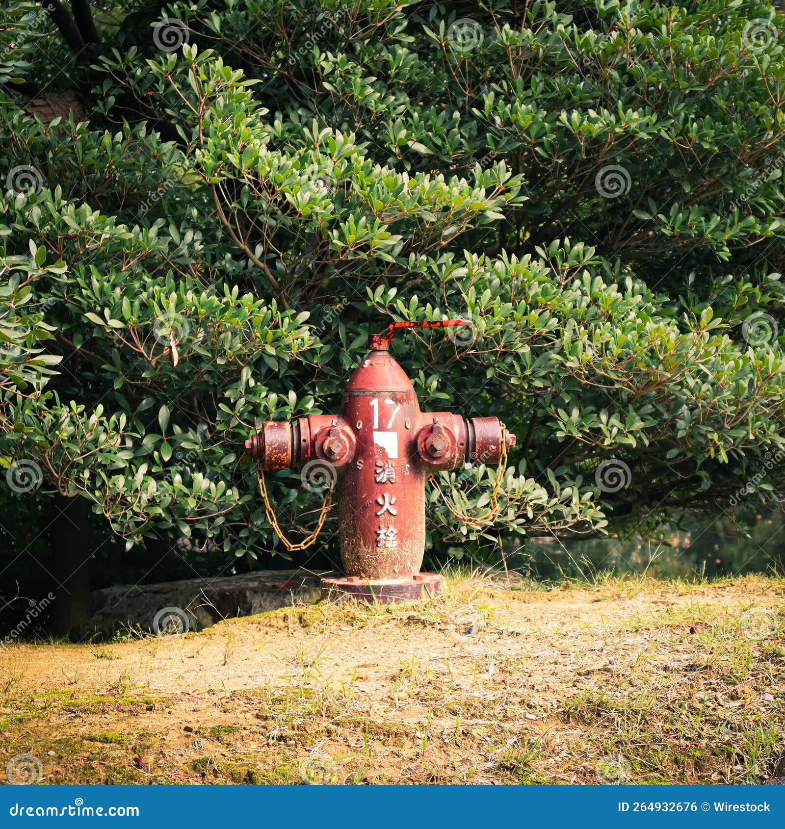 Red Fire Hydrant in the Park with Trees in the Background Stock Photo ...