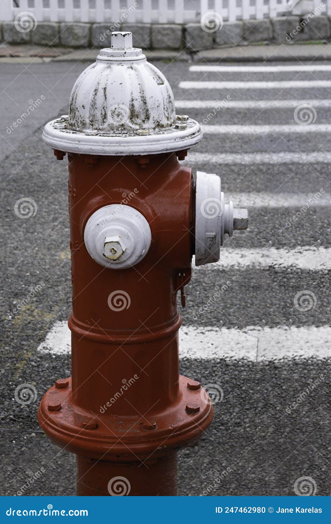 Red Fire Hydrant on Pavement Stock Photo - Image of daylight, plug ...