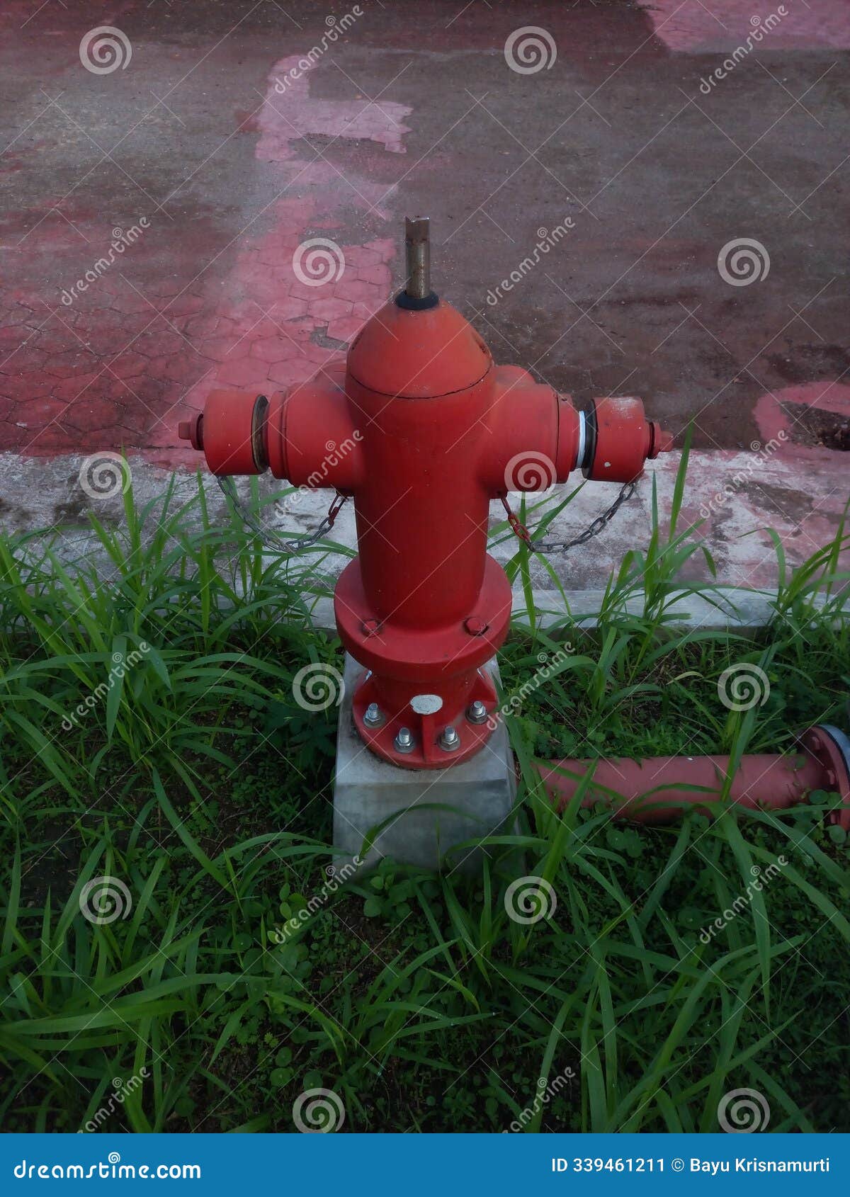 A Red Fire Hydrant on the Side of a Road Stands in a Grassy Area. Stock ...