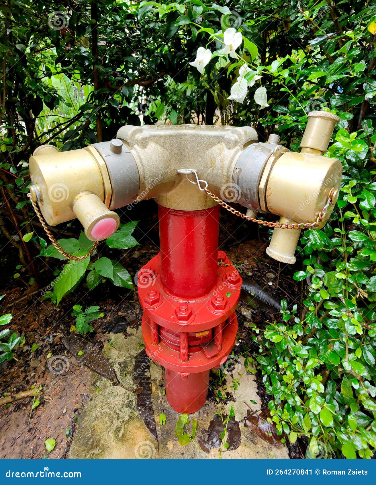 Red Fire Hydrant Sits in Front of an Garden Stock Image - Image of ...