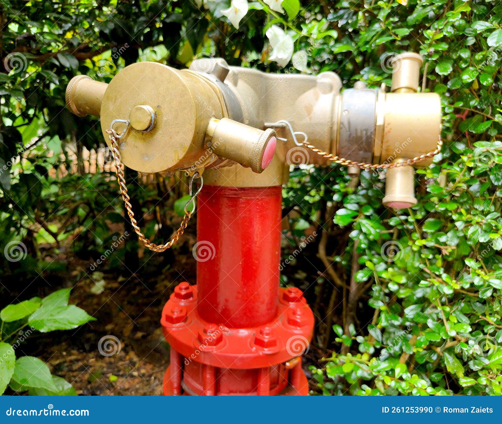 Red Fire Hydrant Sits in Front of an Garden Stock Photo - Image of ...