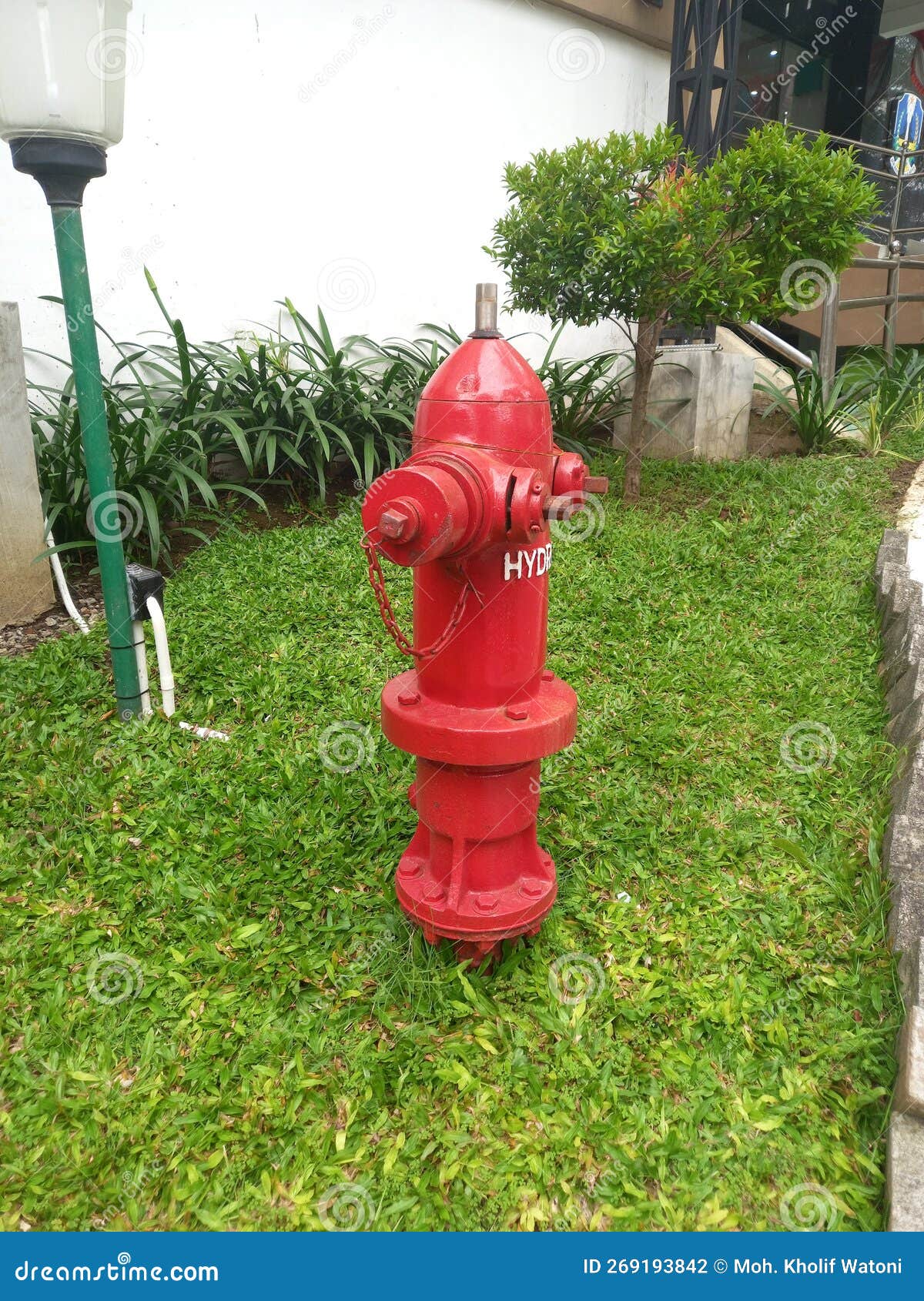 Red Fire Hydrant in a Small Garden in the Office Stock Photo - Image of ...