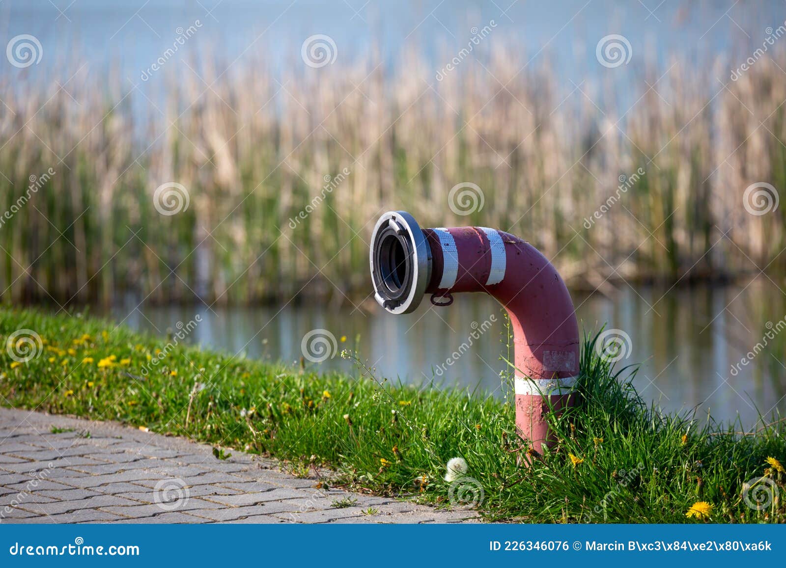 Red fire hydrant stock photo. Image of firefighter, safe - 226346076
