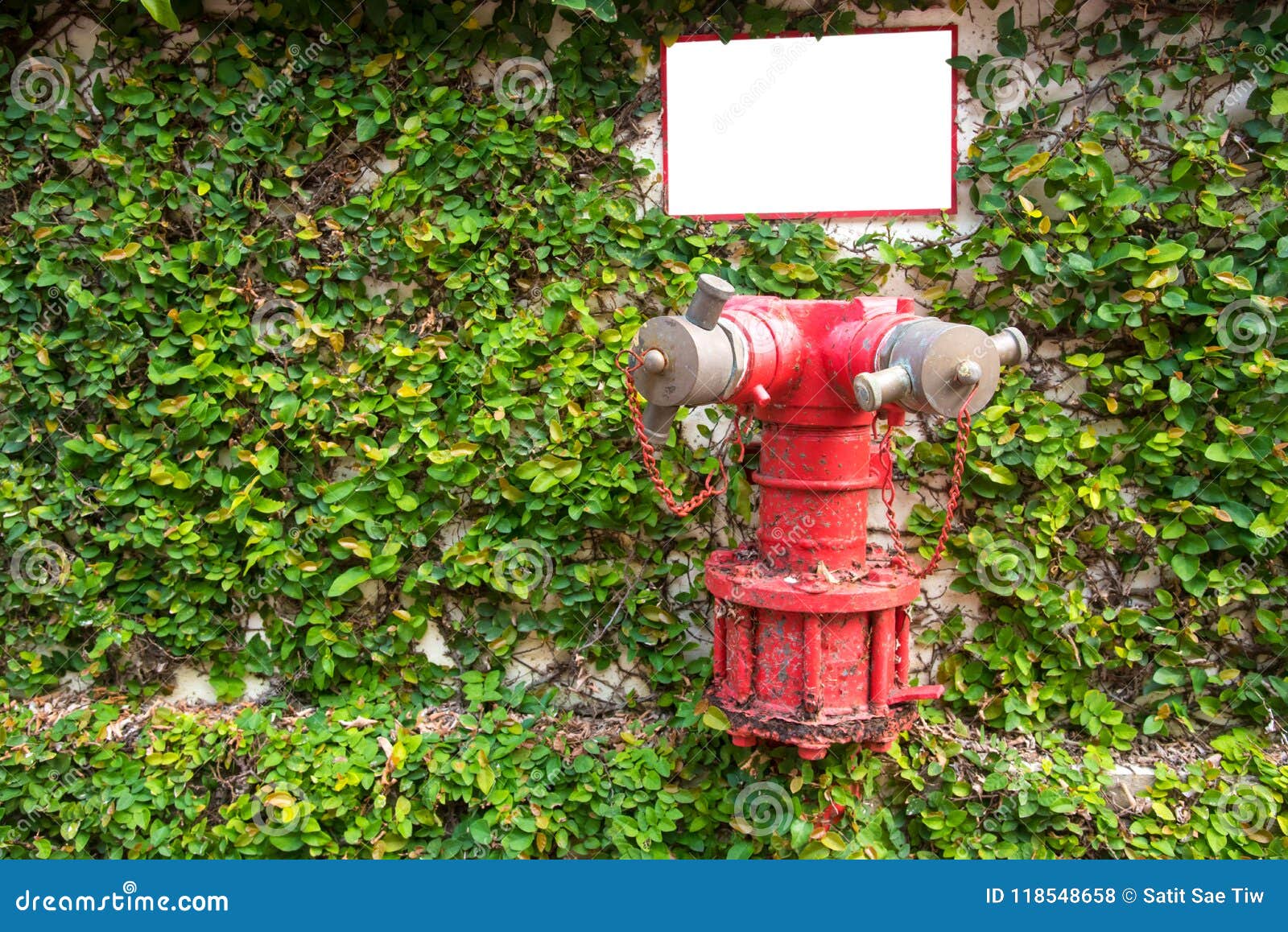 Red Fire Hydrant on the Tree Wall Background. Stock Photo - Image of ...