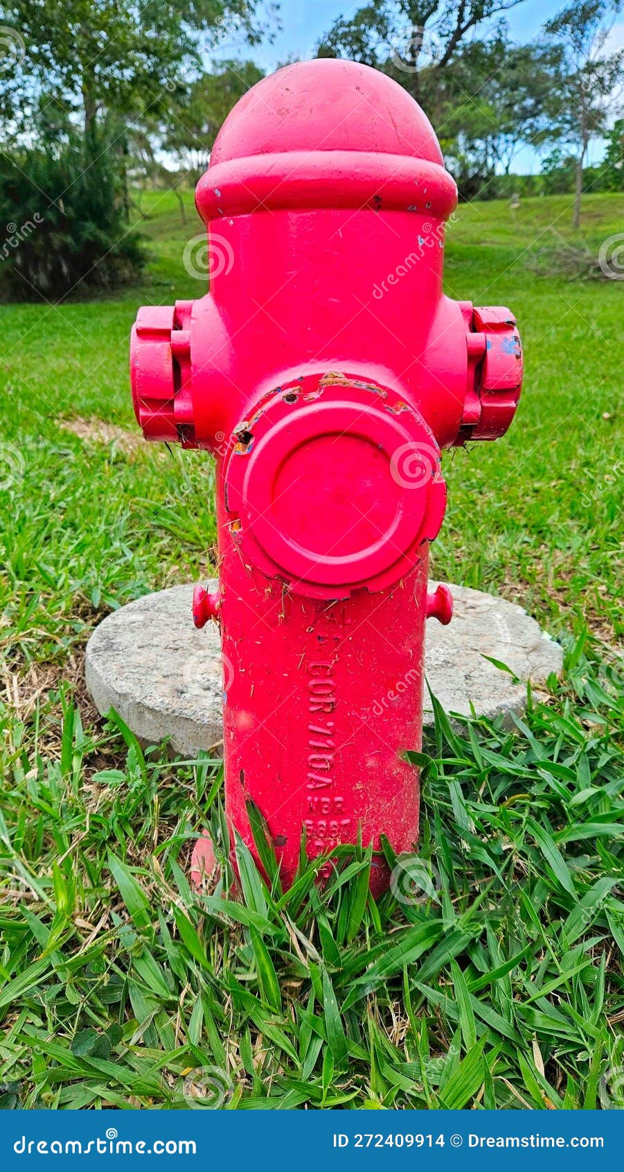 Red Fire Hydrant in Urban Park Stock Photo - Image of hydrants, outdoor ...