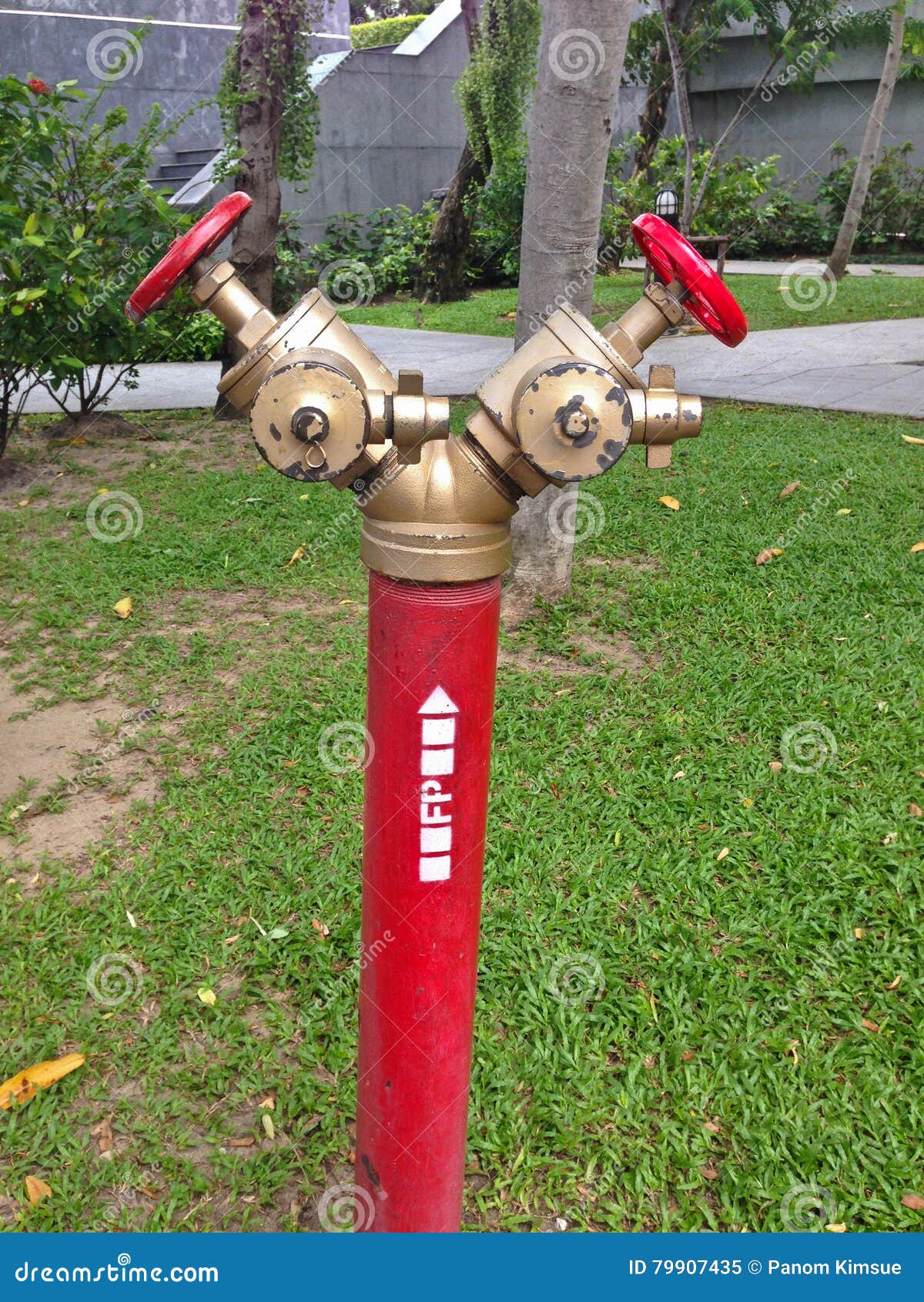 Red Fire Hydrant Water Pipe for Firefighters in the Garden Stock Image ...