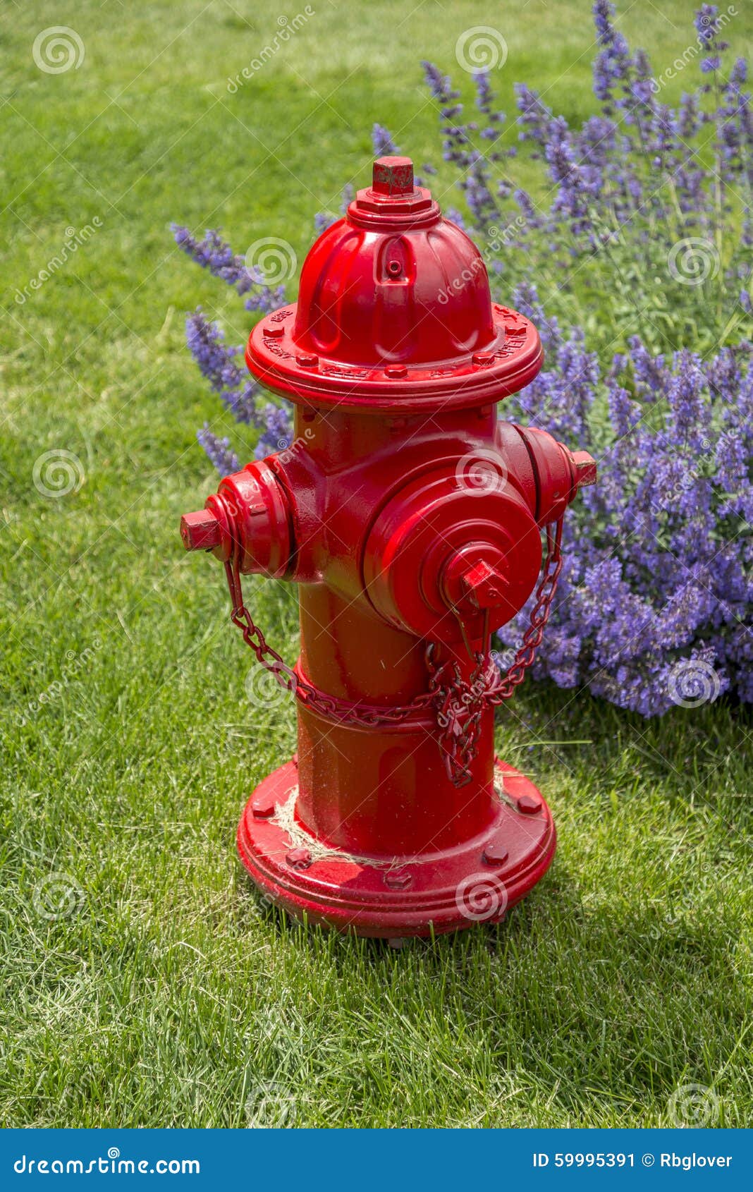 Red Fire Plug stock image. Image of outside, south, summer - 59995391