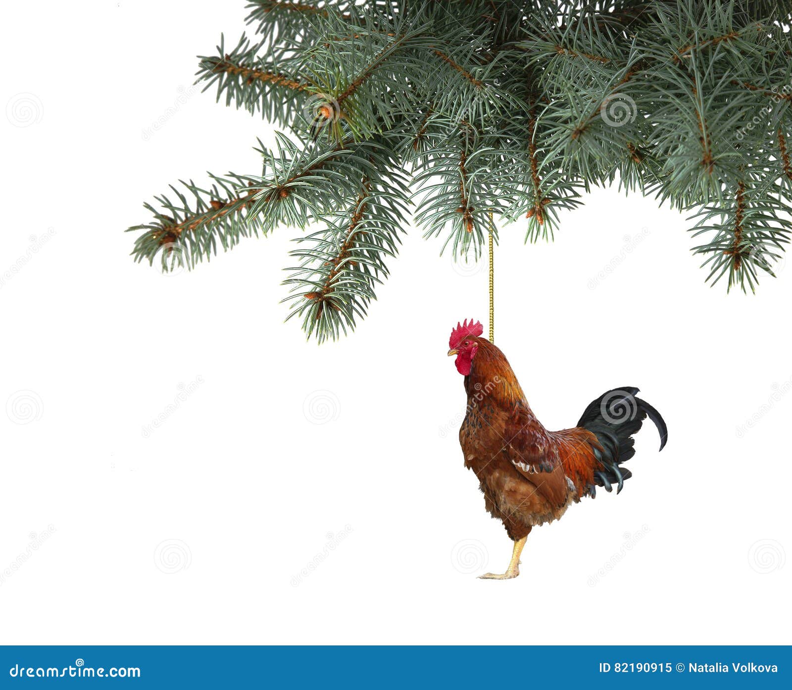 Red Fire Rooster Hanging on the Christmas Tree Stock Image - Image of ...