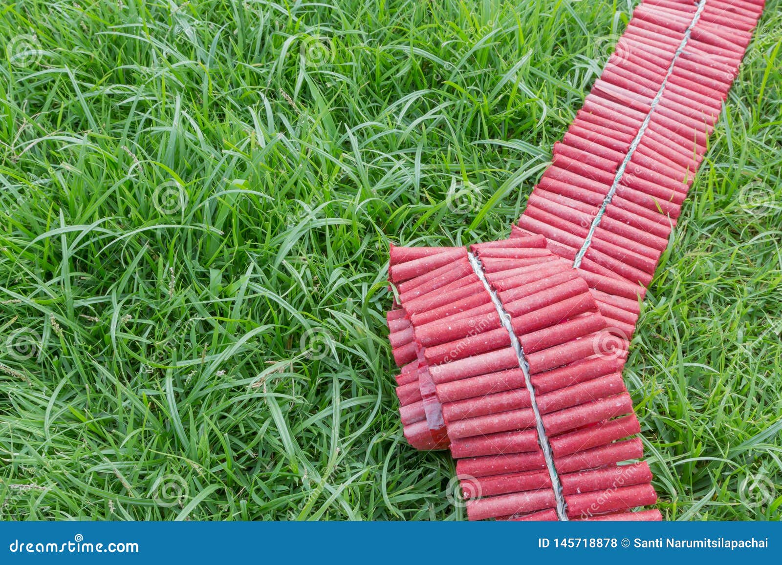 Red Firecrackers on Green Grass Stock Photo - Image of lawn ...