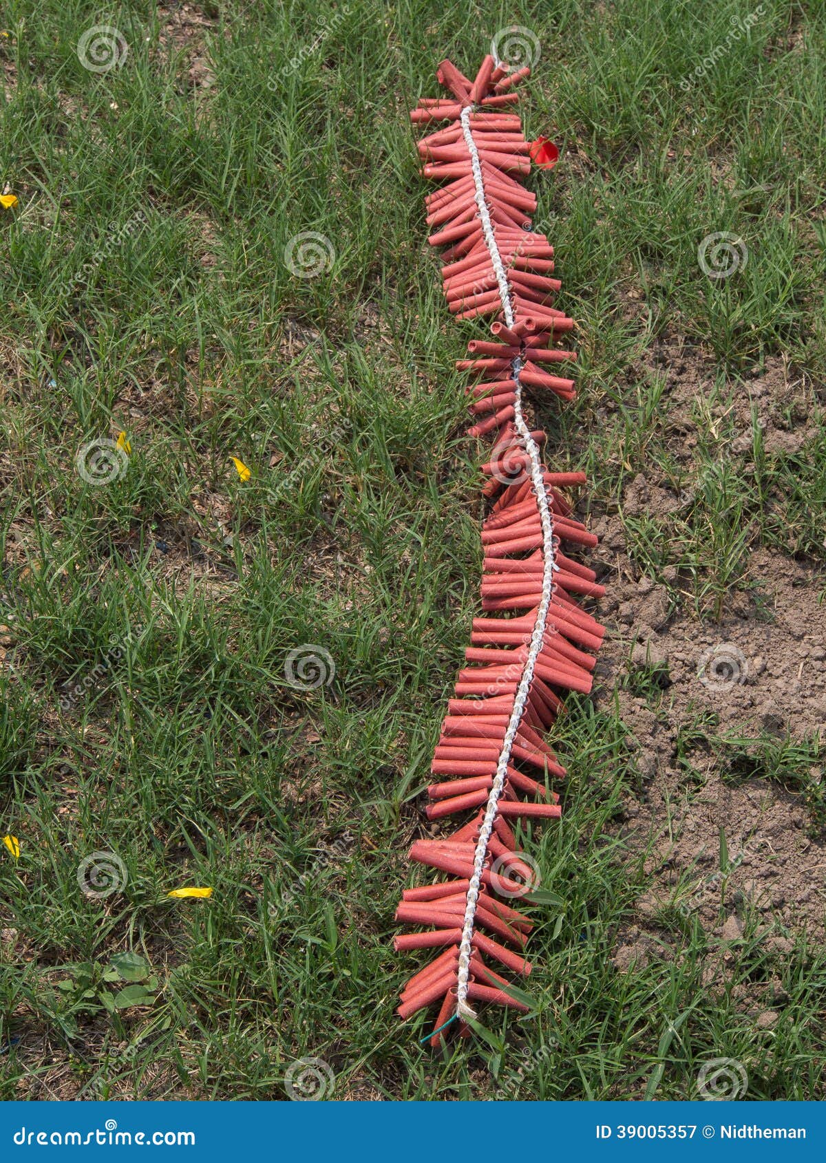 Red Firecrackers Put on Grass Stock Image - Image of pattern, firework ...