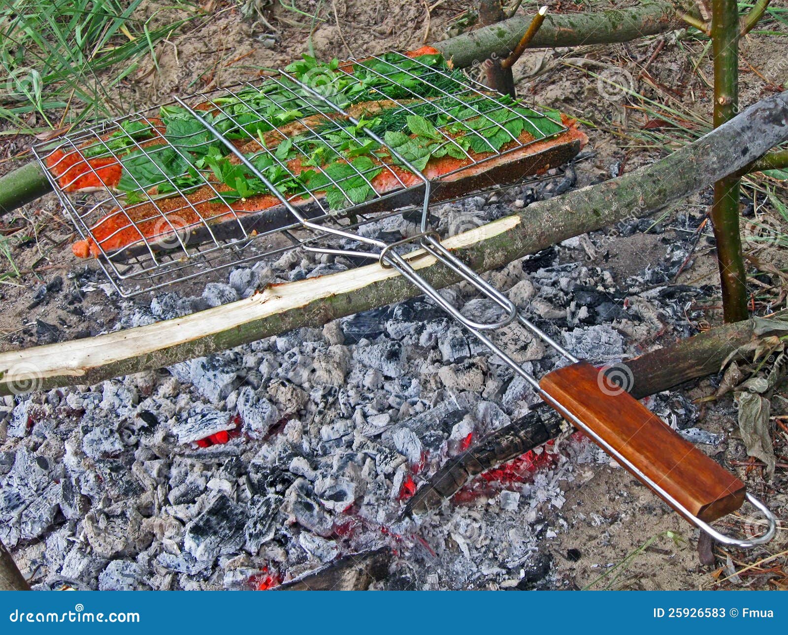 Red Fish Cooking on the Fire, Environment Details, Stock Image - Image ...