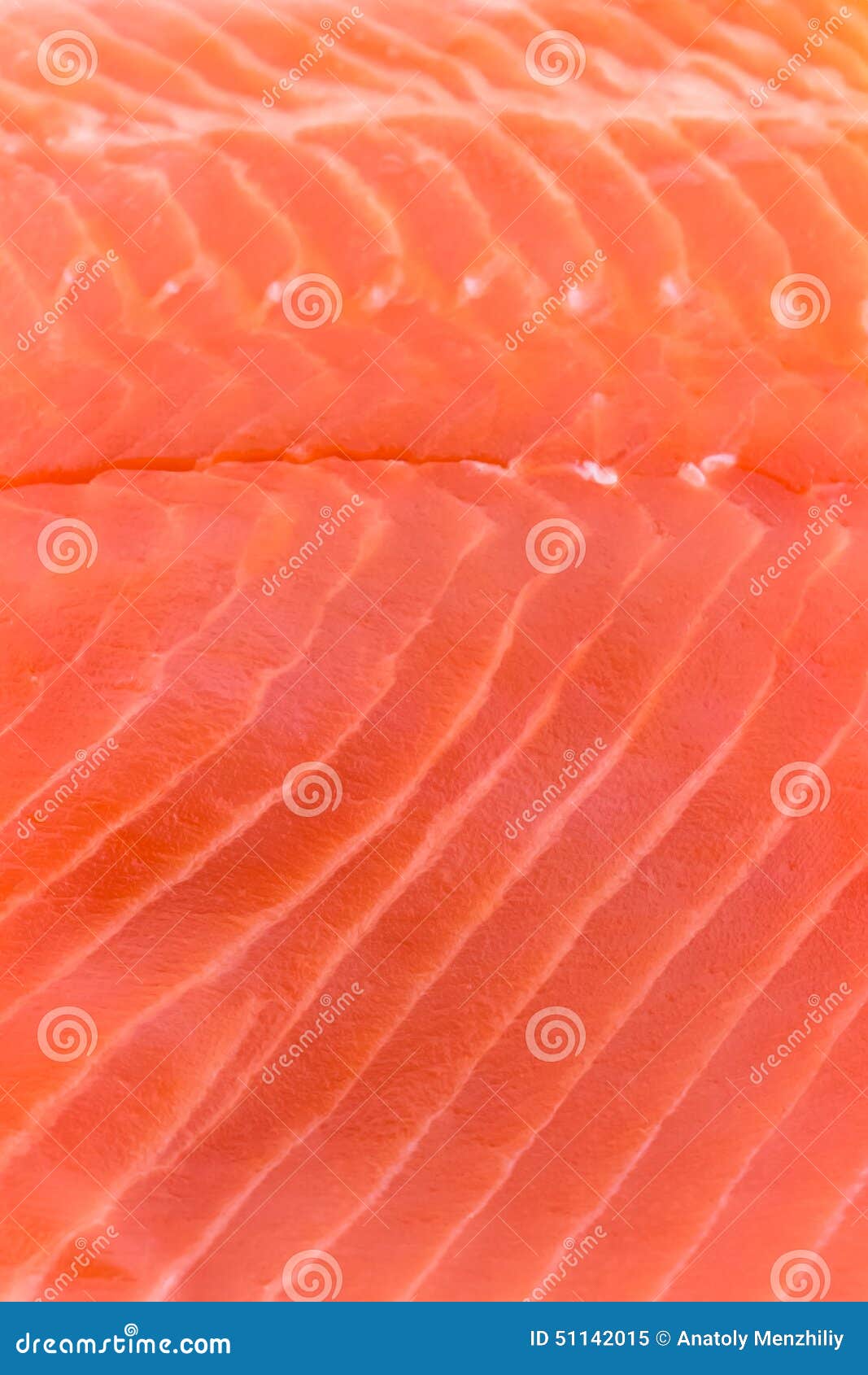 Red fish meat stock image. Image of fillet, nutrition - 51142015